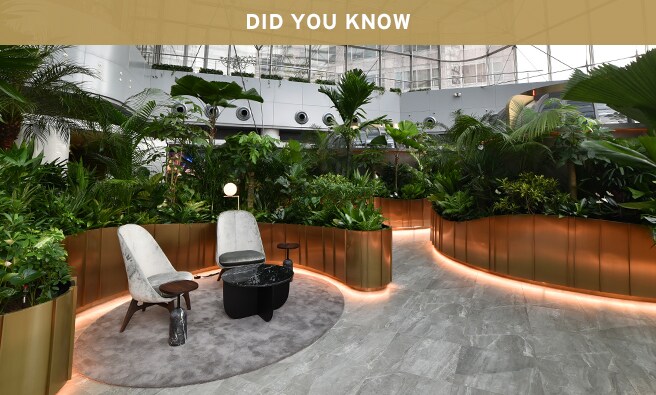 Citi Wealth Hub | Wealth management| Citibank Singapore