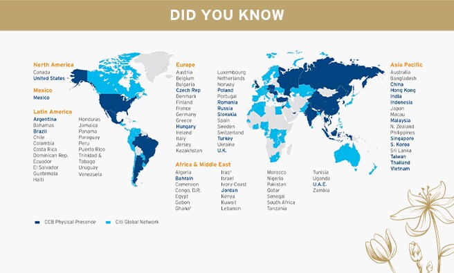 Citi Wealth Hub | Wealth management| Citibank Singapore